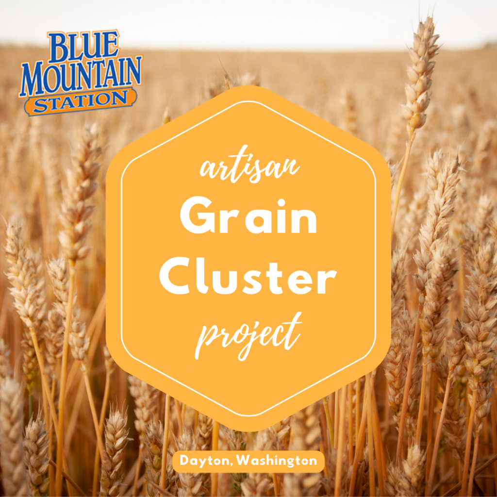Grain Cluster - Port of Columbia
